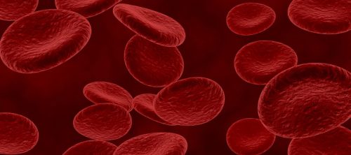 Blutwerte – Übersicht und Erklärung zu den wichtigsten Werten