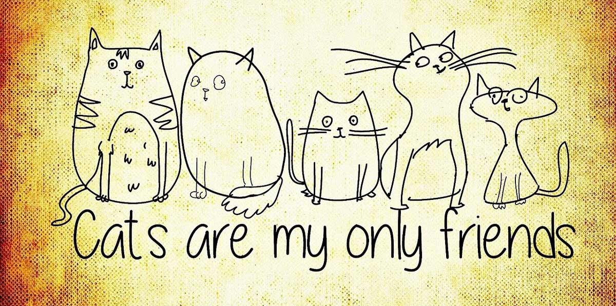 Katzensprüche - Über 100 Sprüche und Weisheiten für Katzenliebhaber