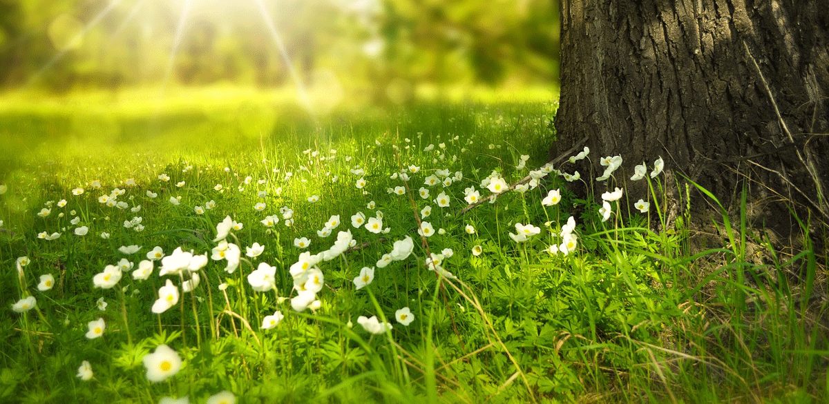 Sommergedichte - Schöne Verse, Reime und Sprüche über den Sommer