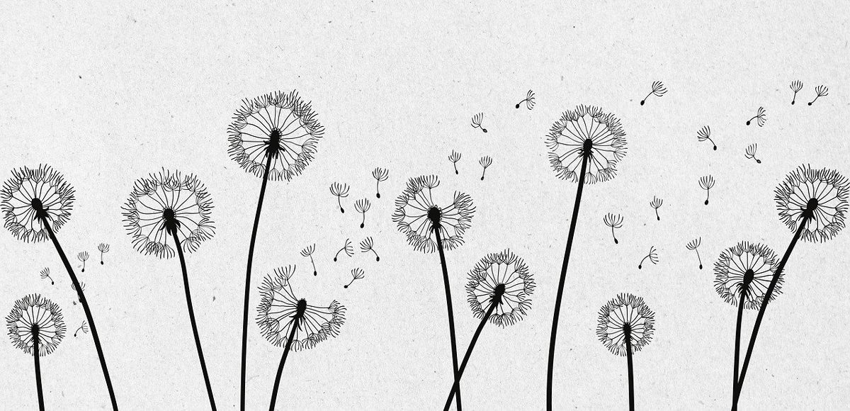 Beileidswünsche: Taktvolle Beileidsbekundungen in Zeiten der Trauer